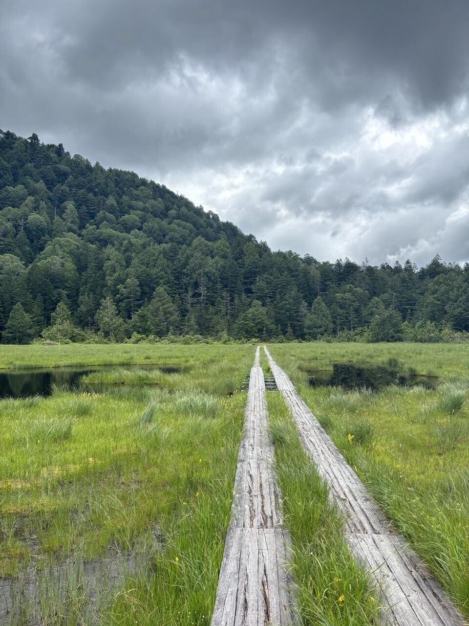 Rayzeroのページ | YAMAP / ヤマップ