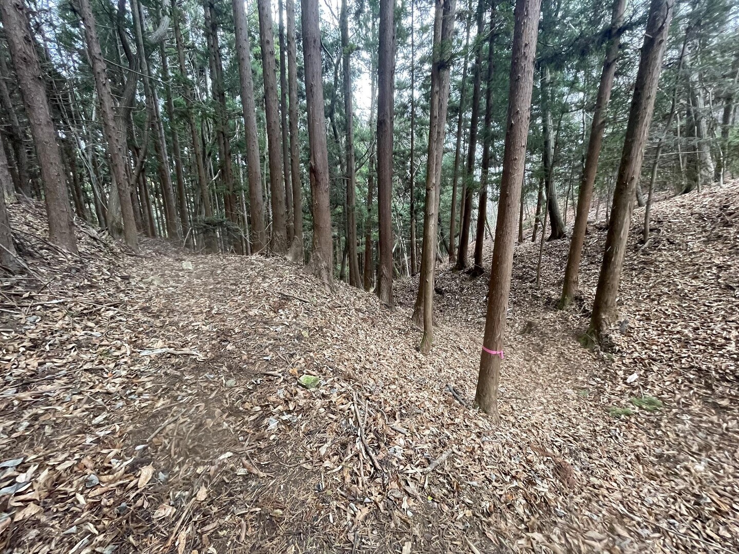 eeeeeeiichi さんの投稿したフィールドメモ | YAMAP / ヤマップ