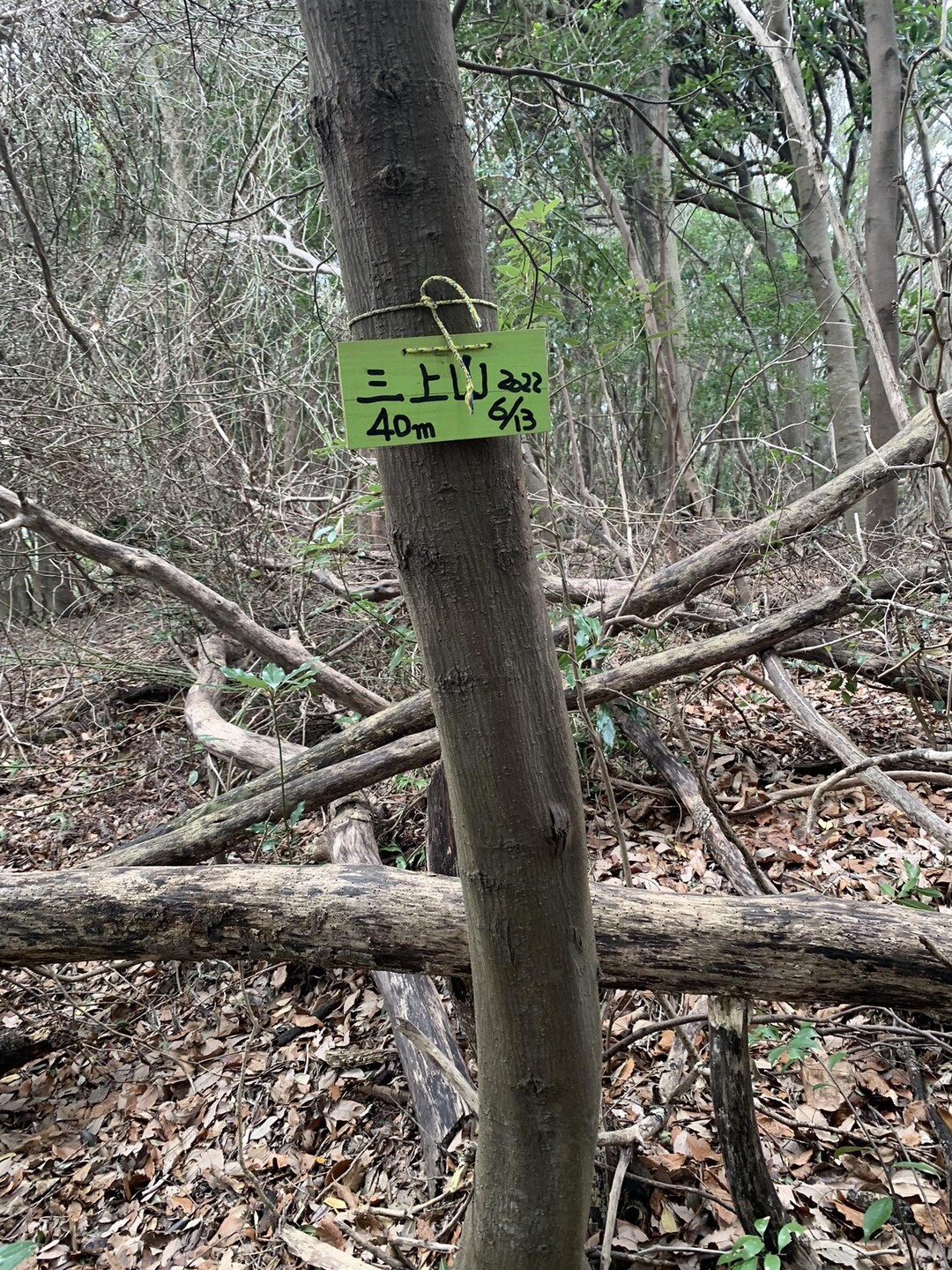 長門 妙見山・三上山 / koma_xさんの青海島の活動データ | YAMAP / ヤマップ