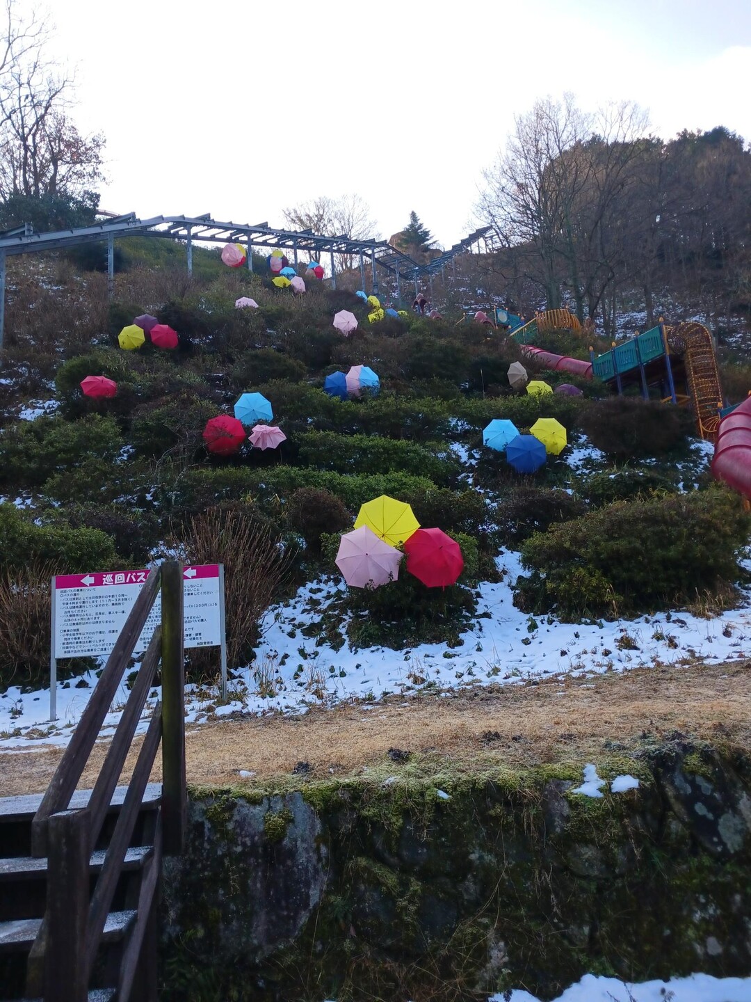 地図に変な名前のズーベッド山 / old gee zerさんの脊振山・金山の活動データ | YAMAP / ヤマップ