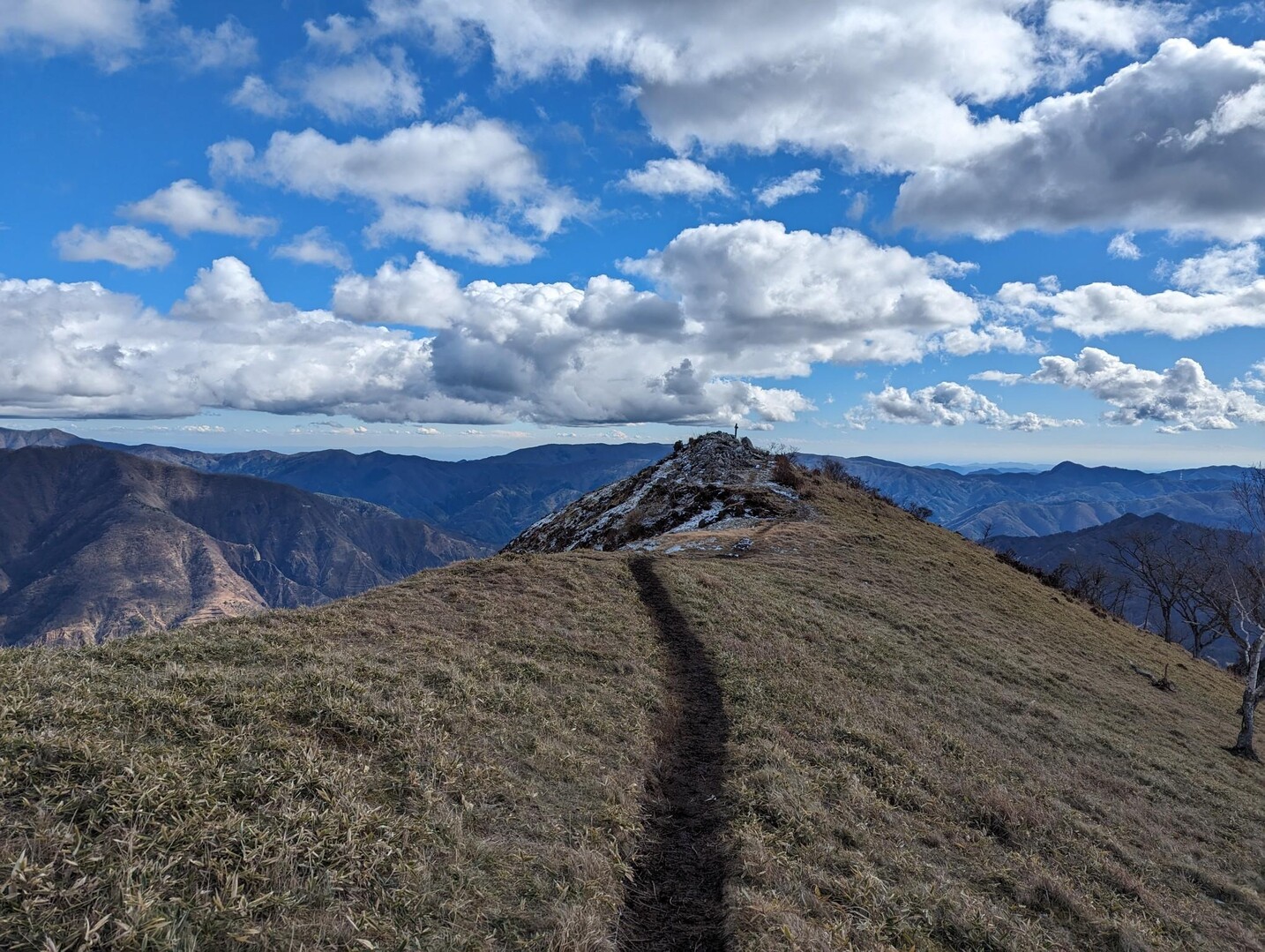 中倉山〜波平ピーク / Yusukeさんの社山・半月山の活動データ | YAMAP / ヤマップ