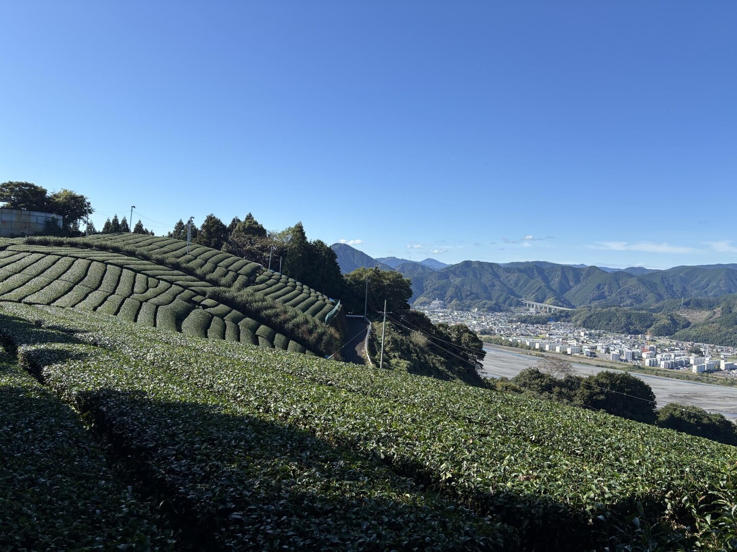 福成山 / Soneqさんの賤機山の活動データ | YAMAP / ヤマップ