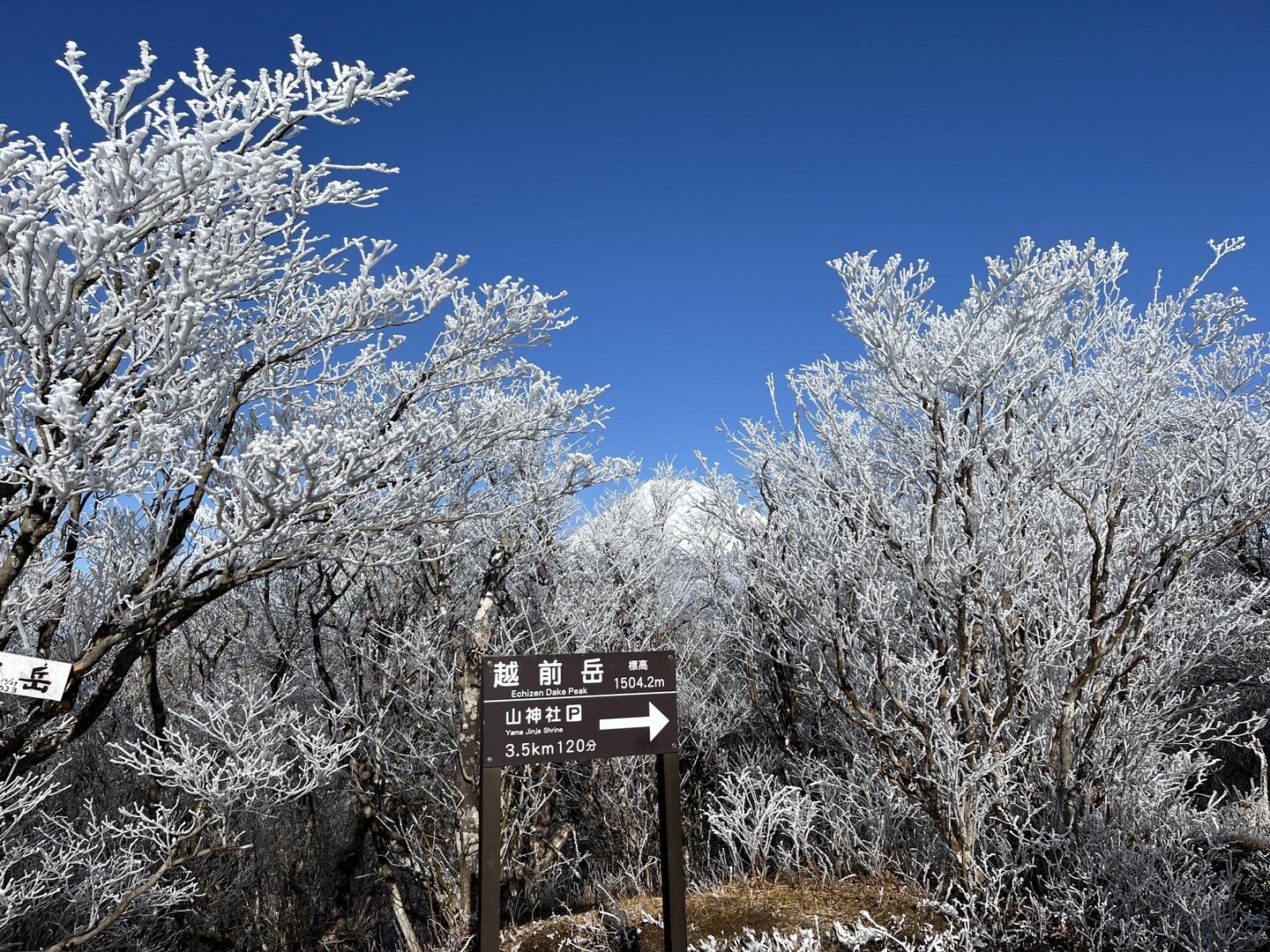 黒岳・越前岳・呼子岳・蓬莢山 / masaさんのFUJISAN LONG TRAIL（愛鷹・富士南麓エリア SOUTH）の活動データ | YAMAP / ヤマップ