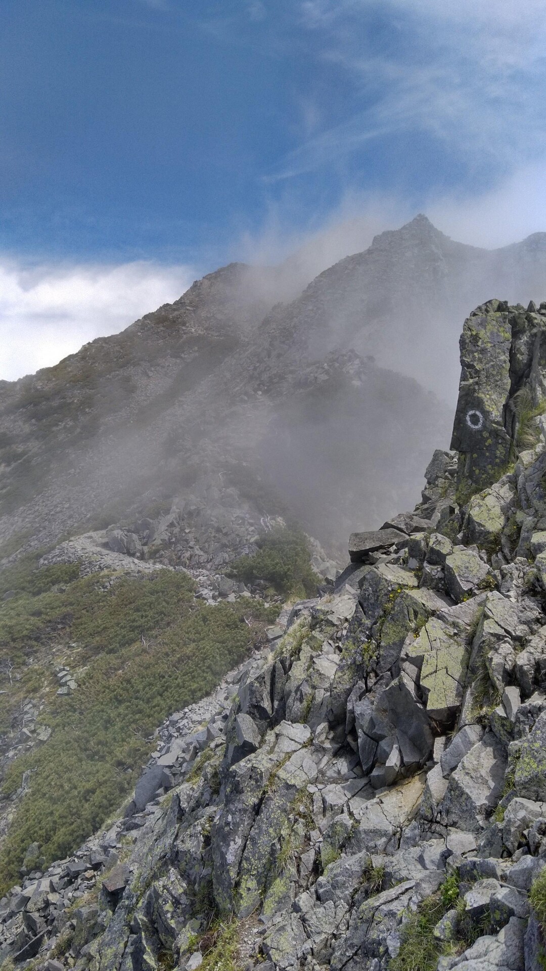 西穂高岳 ガスと岩と花 / ga-haさんの槍ヶ岳・穂高岳・上高地の活動データ | YAMAP / ヤマップ
