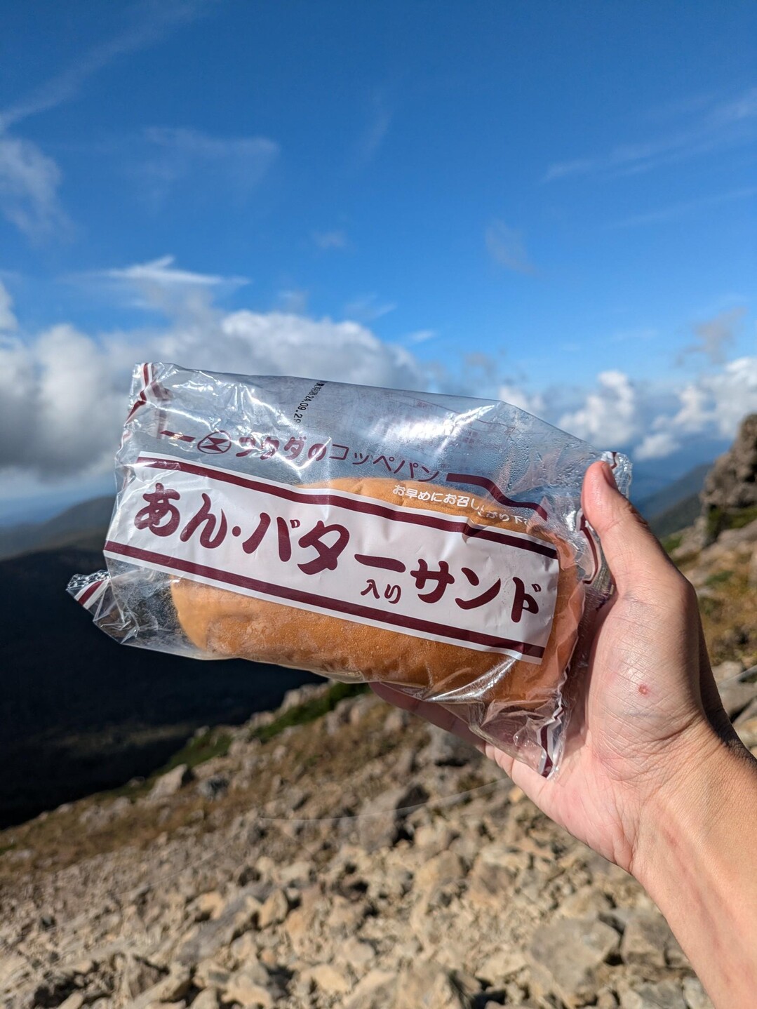 百名山岩手シリーズ最終戦 早池峰山 / oka_nobさんの登山の活動データ | YAMAP / ヤマップ