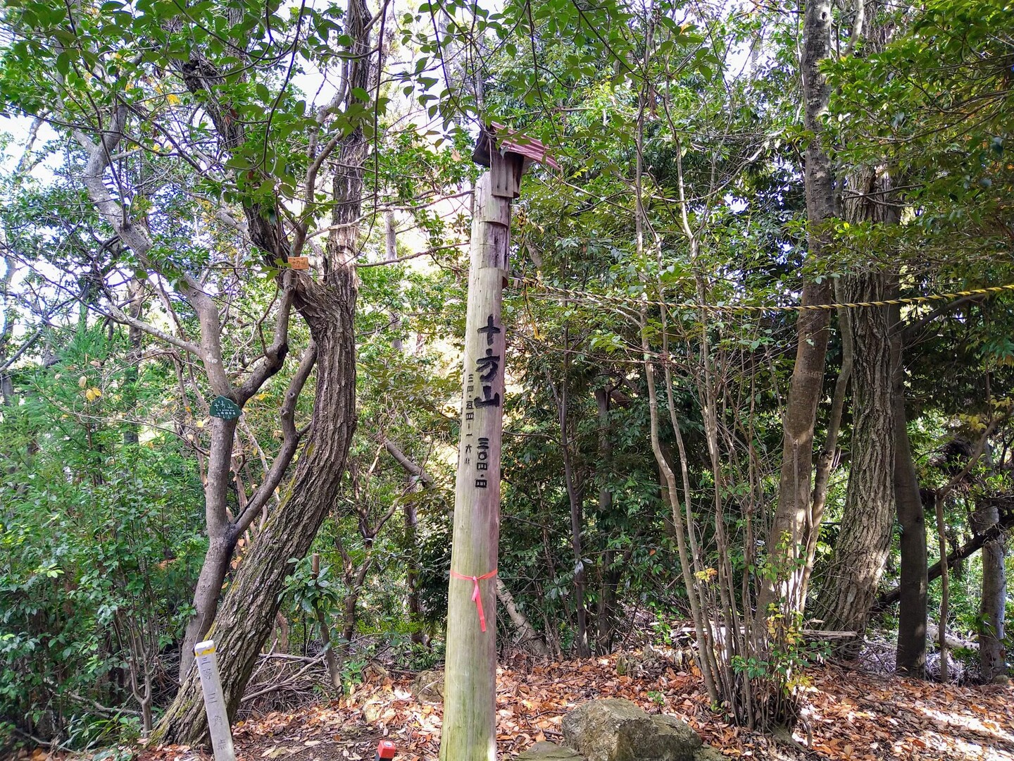 天王山・小倉山・十方山 / YT9さんのポンポン山・釈迦岳・小塩山・若山の活動データ | YAMAP / ヤマップ
