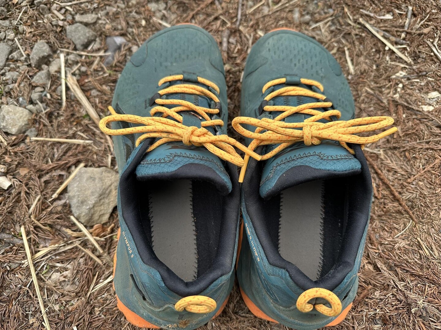 どーも、おかしいと思って歩いてた。 下山... / motoさんのモーメント | YAMAP / ヤマップ