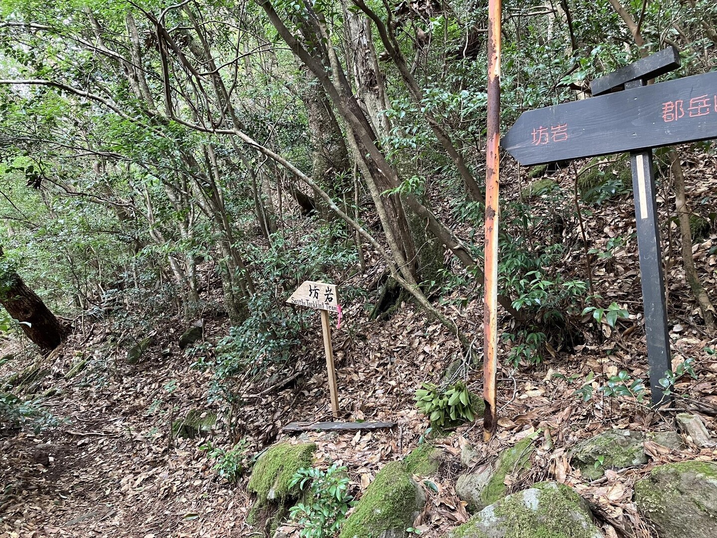 Hanamamさんの投稿したフィールドメモ | YAMAP / ヤマップ