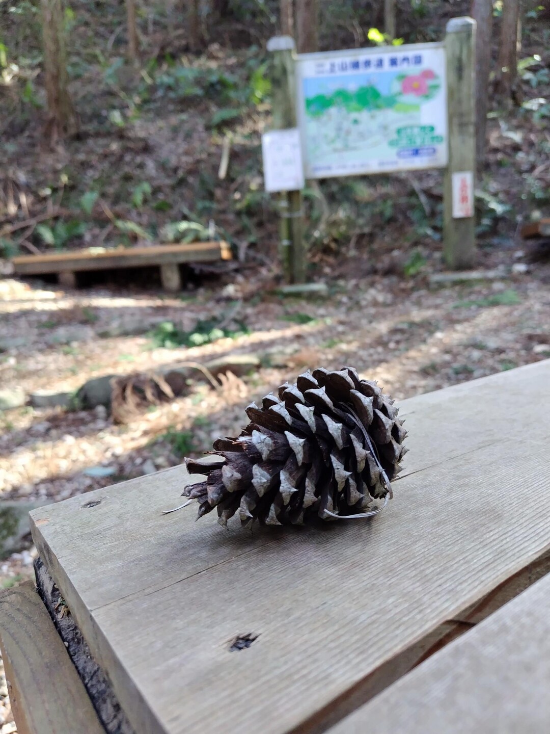 二上山🩼リハビリハイク / 瓢簞屋 四郎兵衛🏮さんの金剛山・二上山・大和葛城山の活動データ | YAMAP / ヤマップ