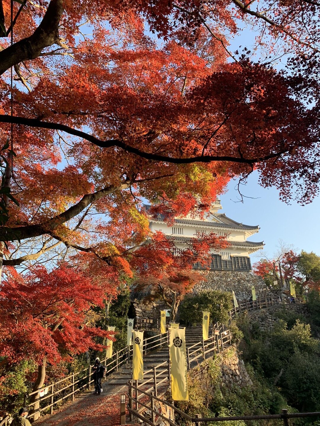 金華山・鷹巣山 / mokoさんの金華山・洞山・舟伏山の活動データ | YAMAP / ヤマップ