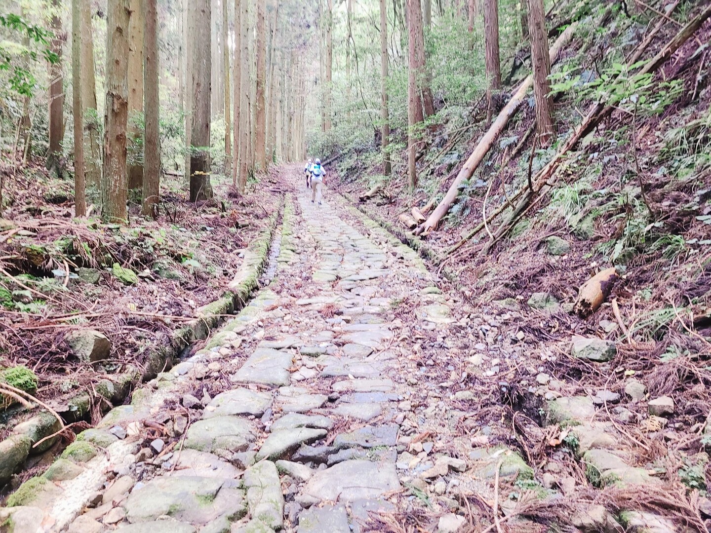 萩往還復路30km☝️なんとか完踏🤭 / Tamtamさんのモーメント | YAMAP / ヤマップ