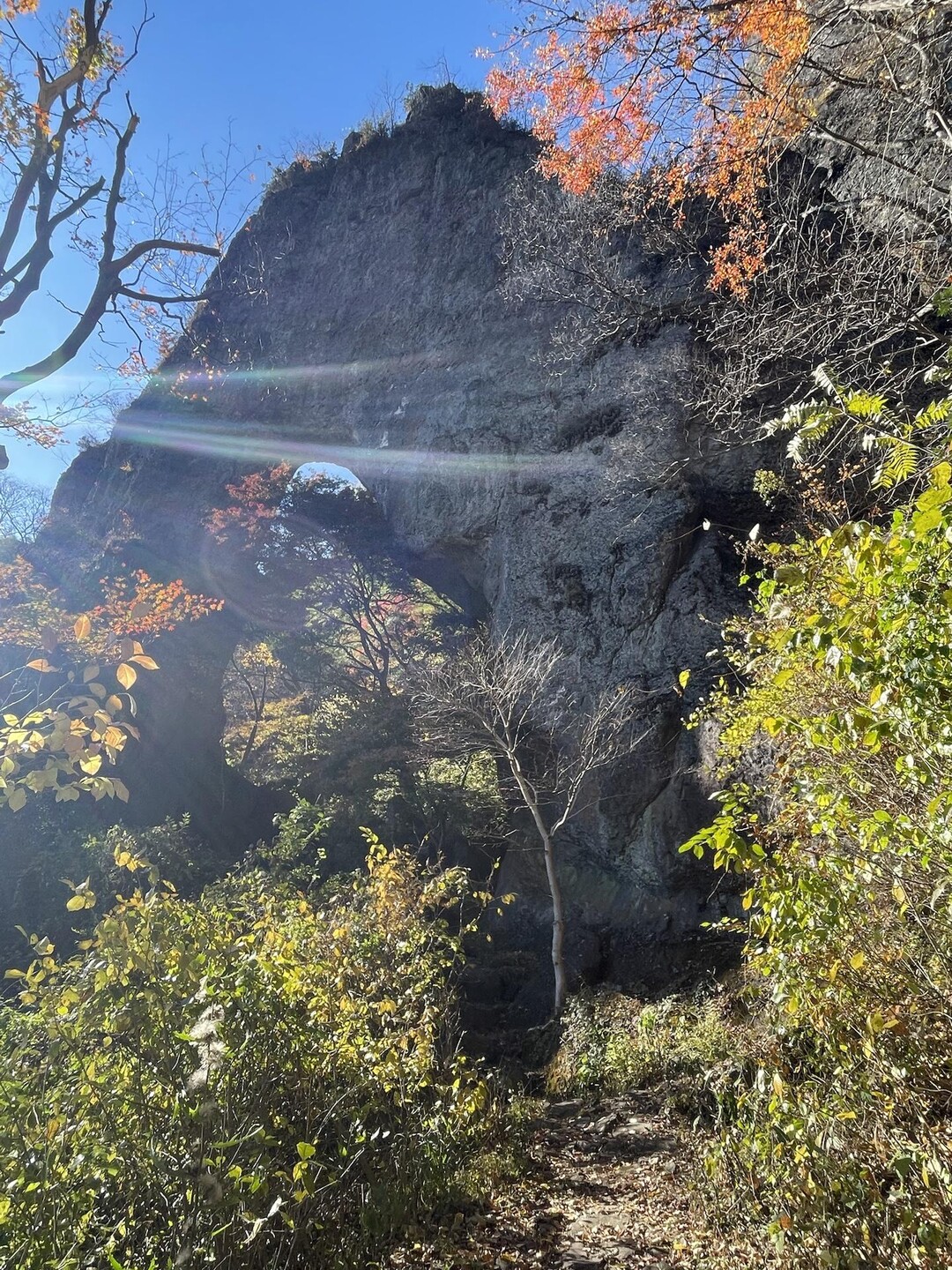 妙義山(中間道)2024-11-22 / Hana Hana さんの妙義山・天狗岳・相馬岳の活動データ | YAMAP / ヤマップ