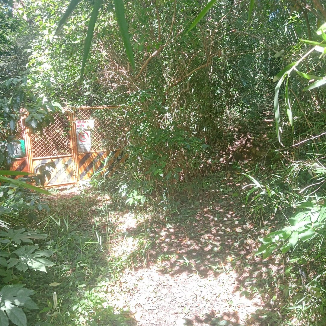 NTNさんの投稿したフィールドメモ | YAMAP / ヤマップ