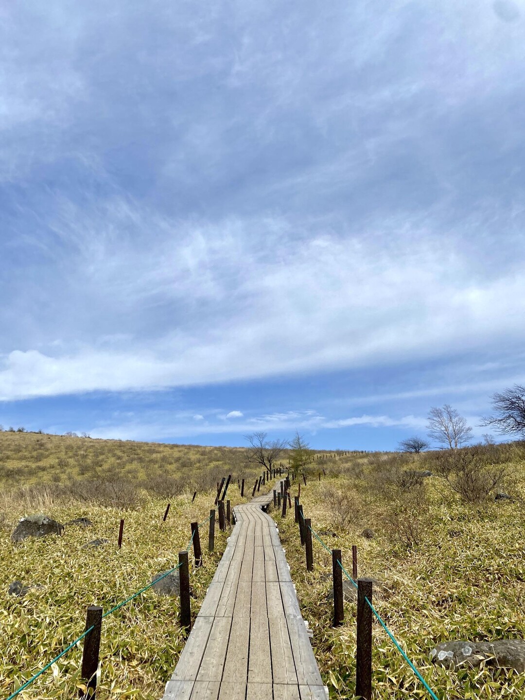 霧ヶ峰（車山） / ni_coさんの霧ヶ峰・車山・大笹峰の活動データ | YAMAP / ヤマップ
