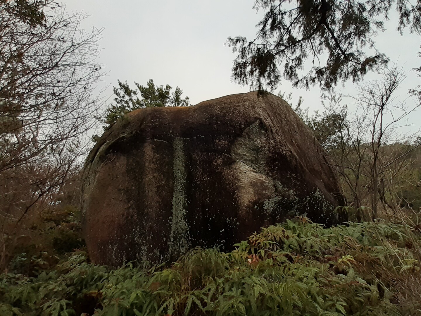 DSHさんの投稿したフィールドメモ | YAMAP / ヤマップ