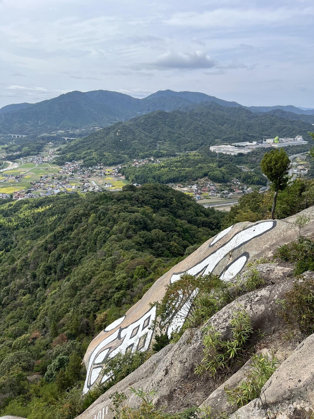 岩山 / mirereさんの岩山の活動データ | YAMAP / ヤマップ