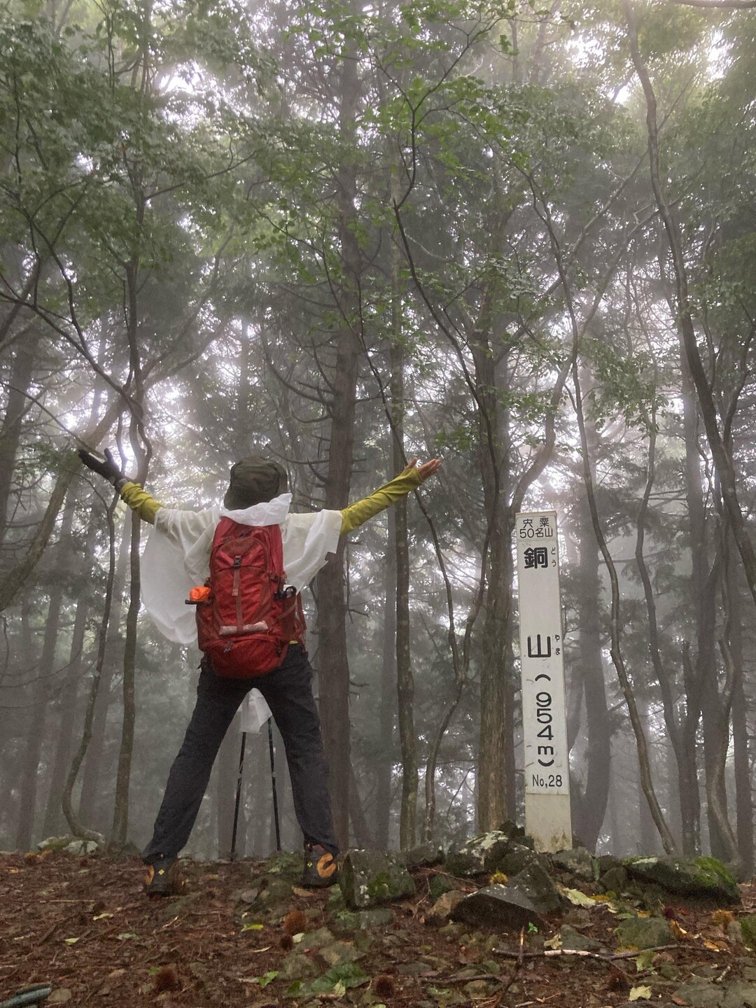 銅山（30／宍粟50名山） / shimoさんの藤無山の活動データ | YAMAP / ヤマップ