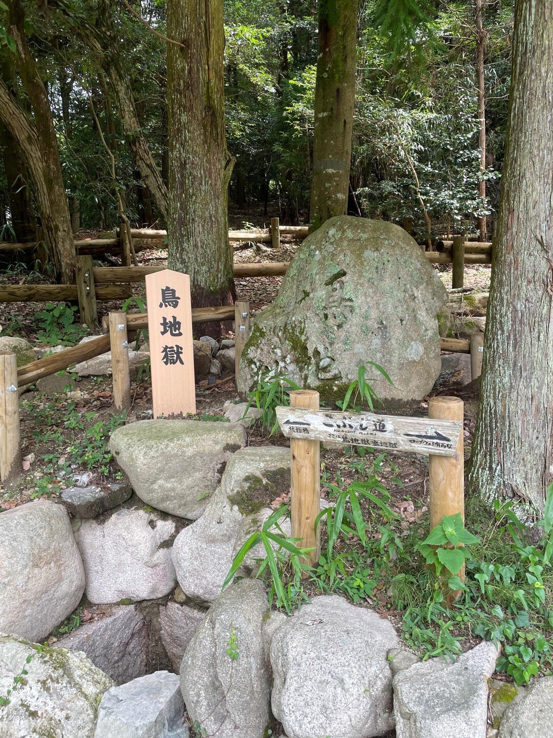 地獄谷〜六甲山〜有馬温泉 / TKさんの六甲山・長峰山・摩耶山の活動データ | YAMAP / ヤマップ