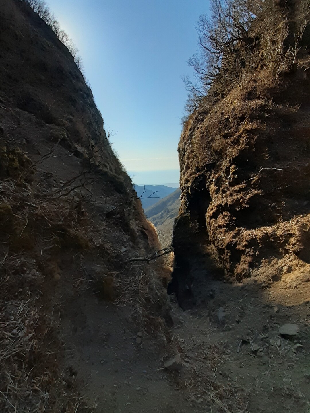 ko usさんの投稿したフィールドメモ | YAMAP / ヤマップ