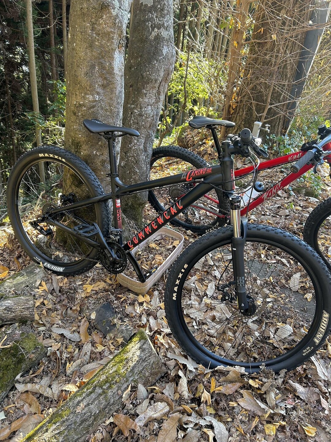 北山MTBライド / akemiさんのサイクリングの活動データ | YAMAP / ヤマップ