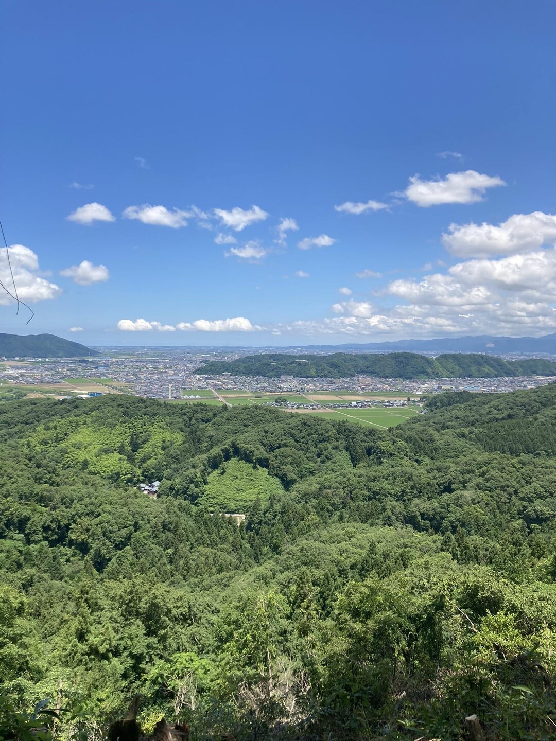城山 2023-06-25 / 山だねさんの城山・経ヶ岳・天神山の活動データ | YAMAP / ヤマップ