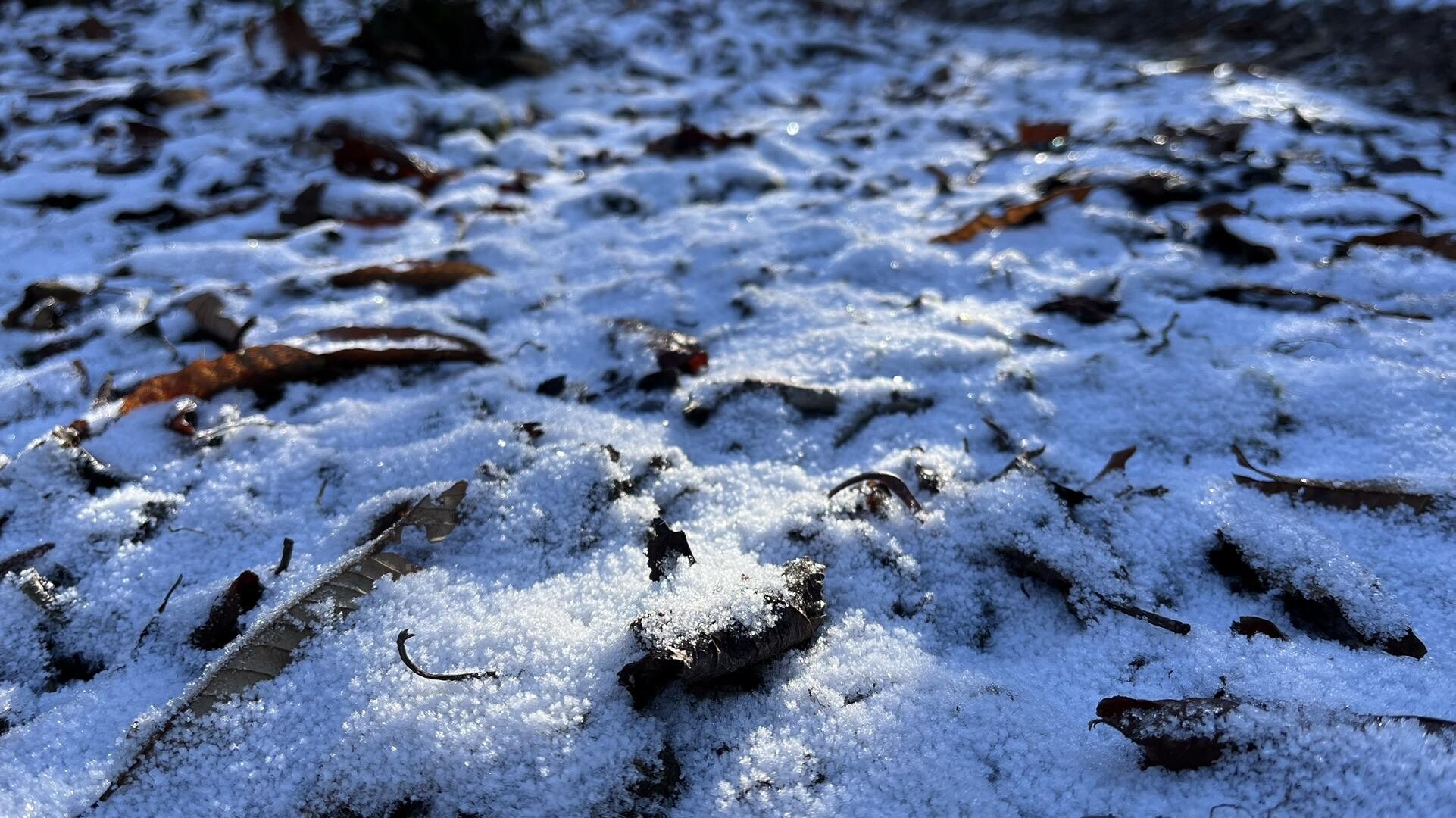 WNGN試走【戸坂→大林】 / ujinaさんの二ヶ城山・松笠山の活動データ | YAMAP / ヤマップ