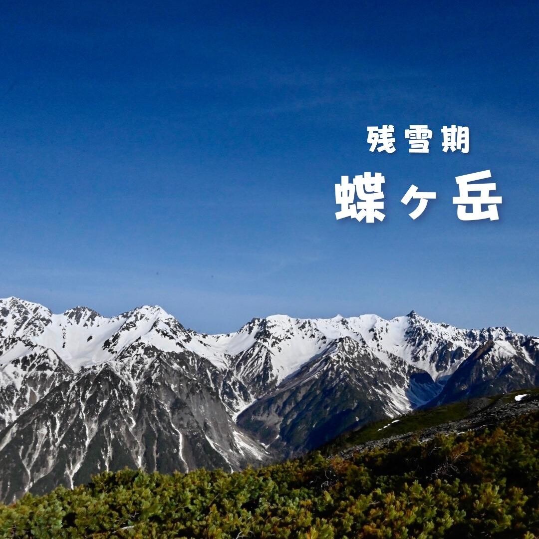 【蝶ヶ岳】新緑と残雪🌿 / Miho📷山歩きの記録さんの常念岳・大天井岳・燕岳の活動データ | YAMAP / ヤマップ