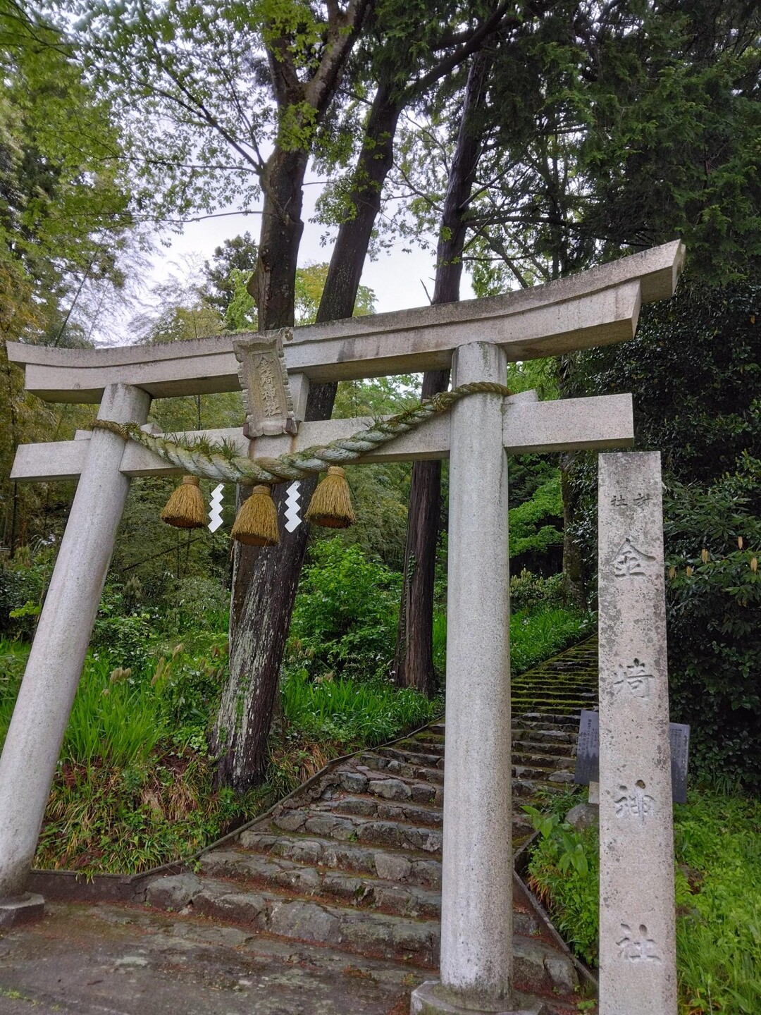 2023.05.07(日) 07:26 / あおいさんのモーメント | YAMAP / ヤマップ