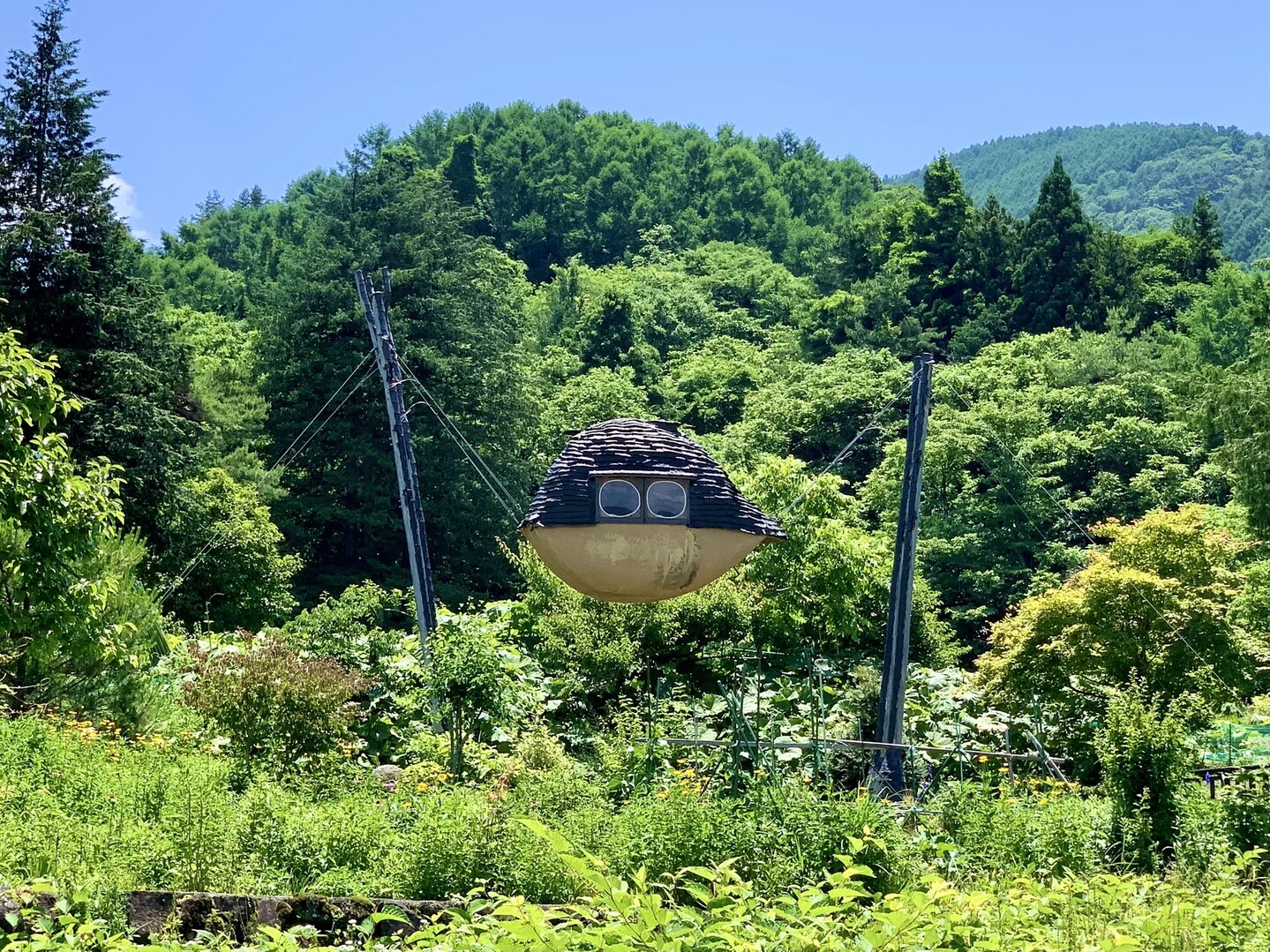 R4.6.25 茅野市にあるフジモリ茶室... / yayaさんのモーメント | YAMAP / ヤマップ