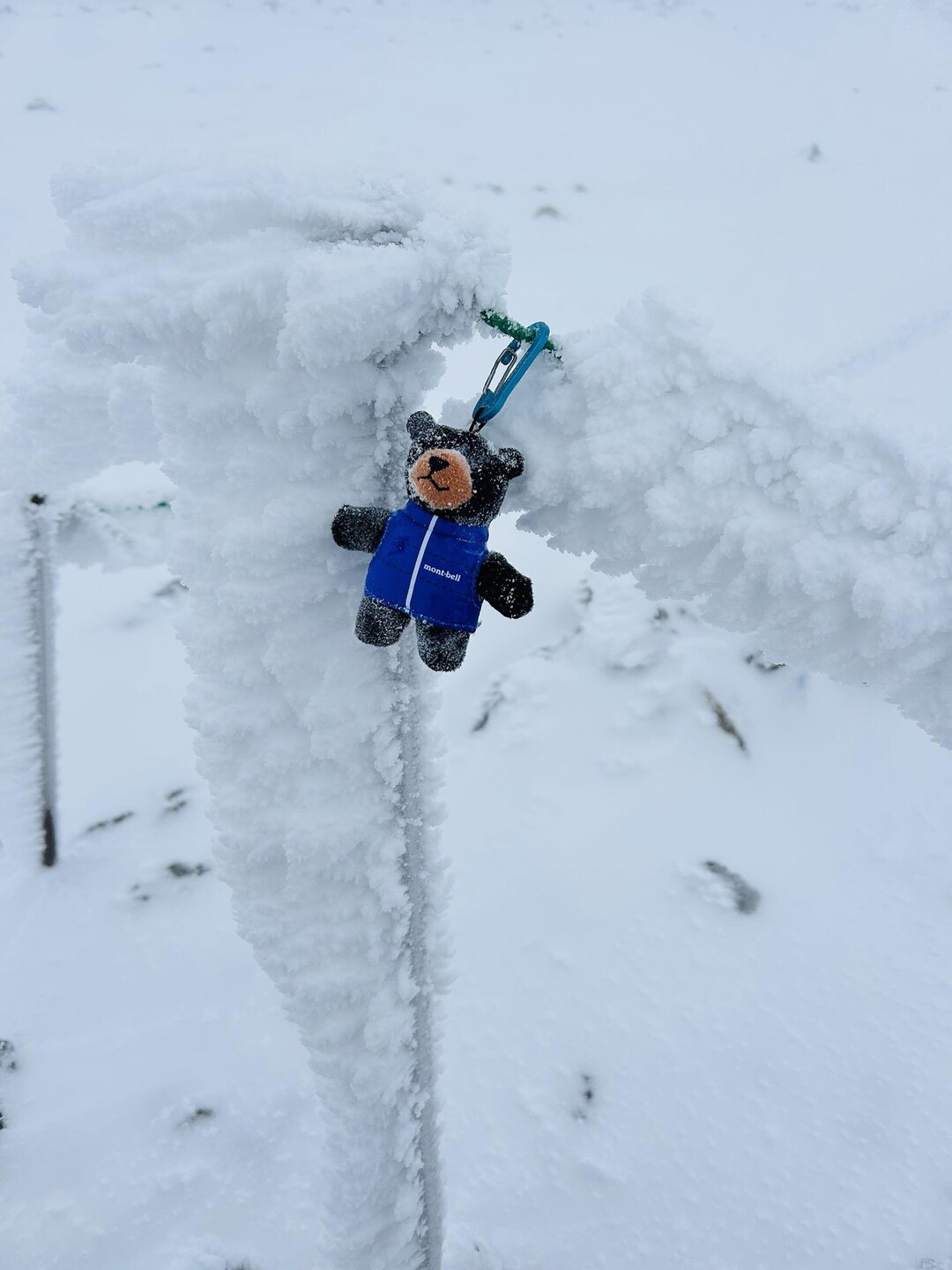 🇯🇵大雪山・旭岳（百名山） RW / TKさんの大雪山系・旭岳・トムラウシの活動データ | YAMAP / ヤマップ