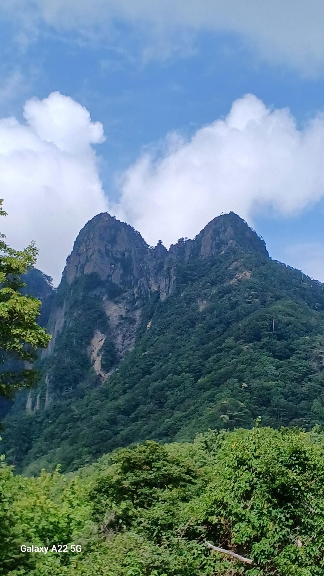 傾山 / AKIKOさんの傾山の活動データ | YAMAP / ヤマップ