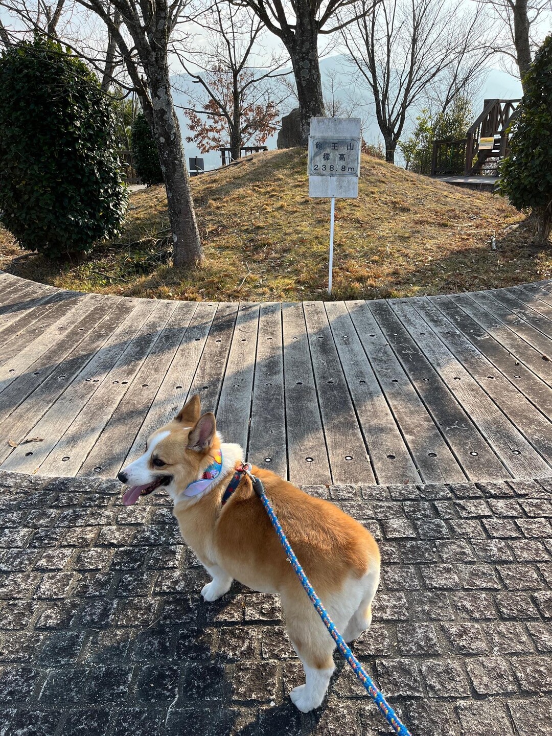 龍王山 / mirereさんの小田山の活動データ | YAMAP / ヤマップ