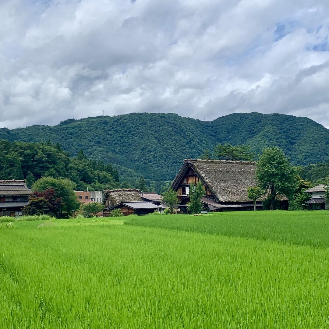 梅雨明け直前の白川郷散策 / Koro-Kenさんのウォーキングの活動日記 | YAMAP / ヤマップ