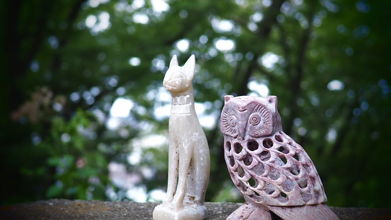 初沢山 / kalo_zzzさんのウォーキングの活動データ | YAMAP / ヤマップ