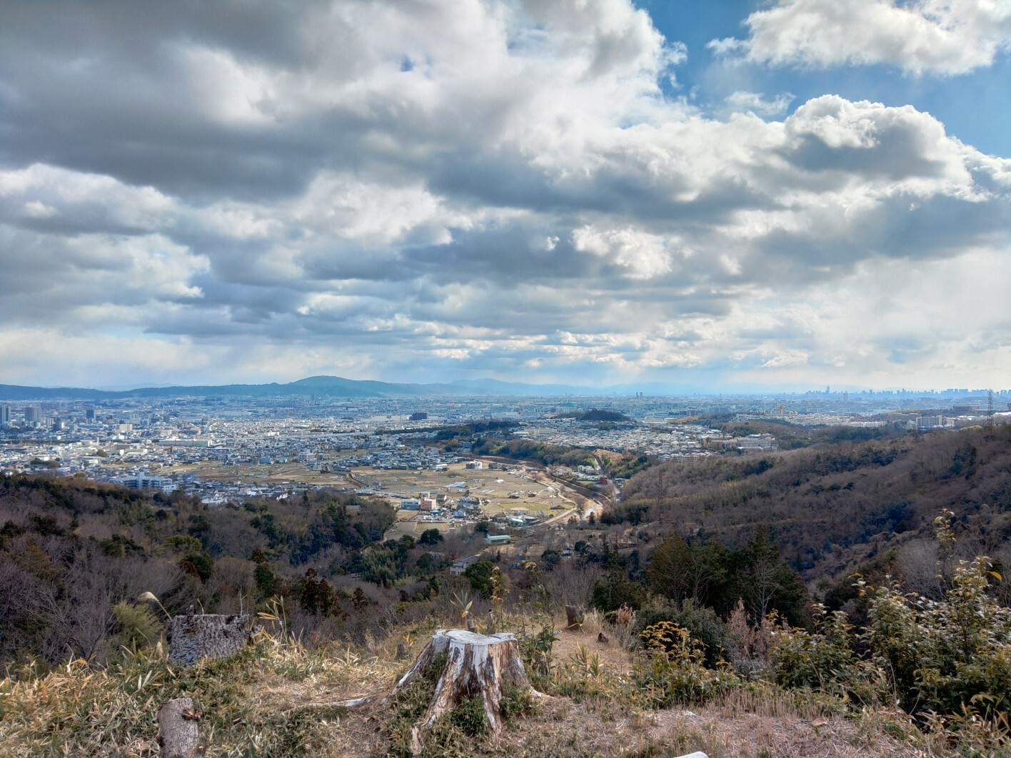 摂津峡(三好山)【STM繋ぎ🎶】 / 🍄やき🐛🐜さんの竜王山・阿武山の活動データ | YAMAP / ヤマップ