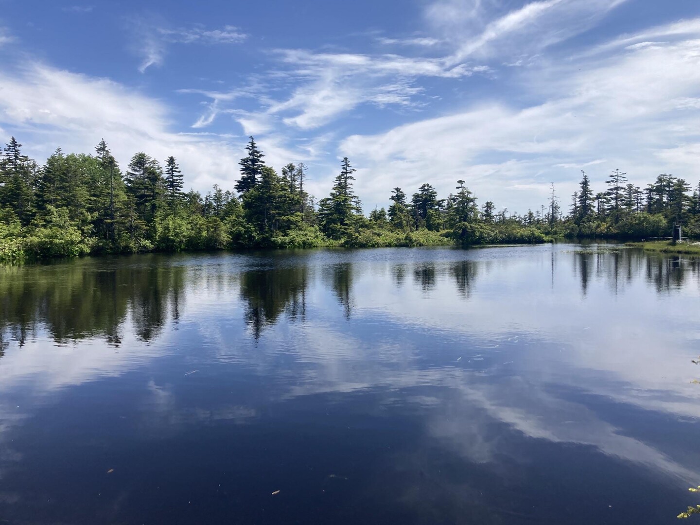 志賀高原100km トレイル、ラスト25km / charlie.comさんのウォーキングの活動データ | YAMAP / ヤマップ