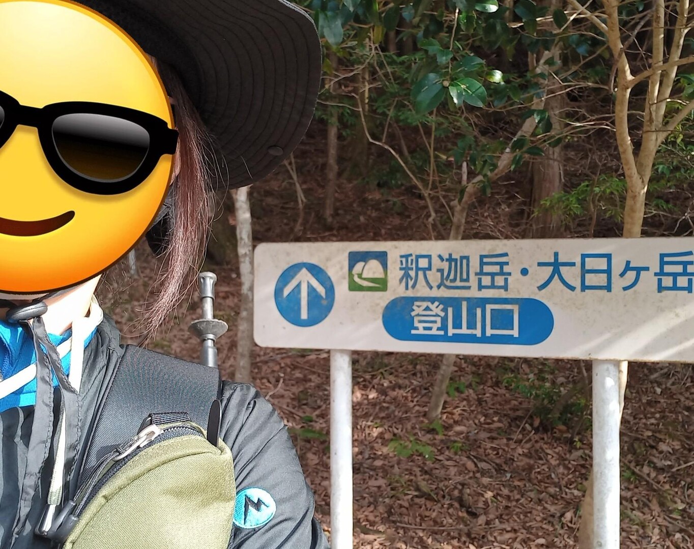 釈迦ヶ岳・大日ヶ岳 / Norikaさんの釈迦ヶ岳・大日ヶ岳・岳滅鬼山の活動データ | YAMAP / ヤマップ