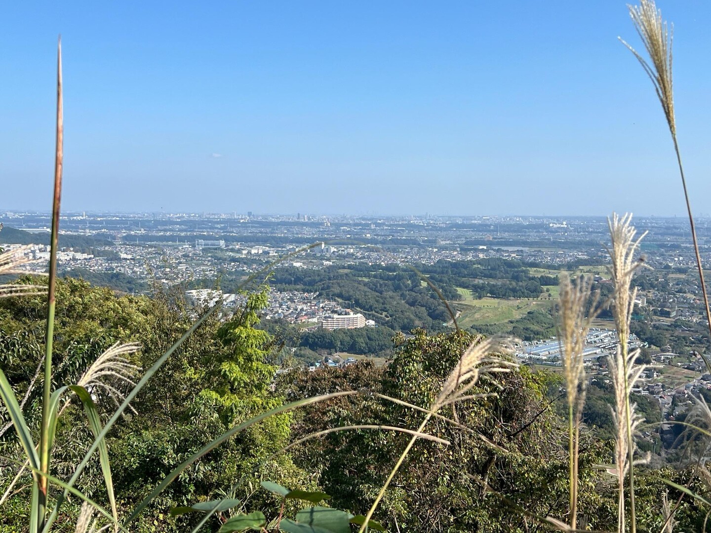 白山・桜山 / Nic_kgさんの大山の活動日記 | YAMAP / ヤマップ