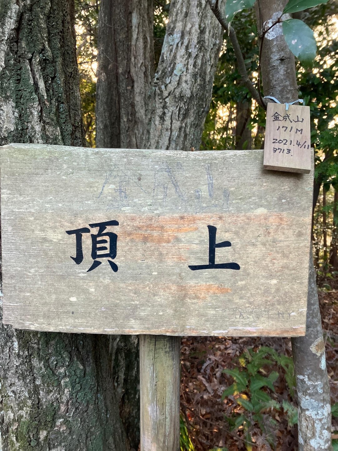 20230101金成山 / さかもっちゃんさんの東方便山・粟ヶ岳の活動データ | YAMAP / ヤマップ