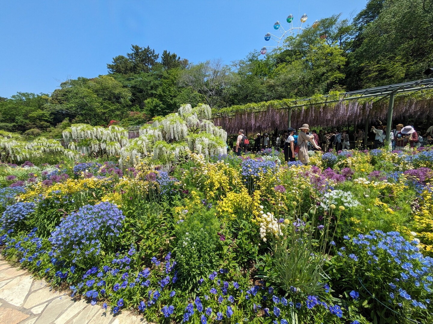 久しぶりの大学の友達と一緒に浜名湖で開催... / ﾕｴさんのモーメント | YAMAP / ヤマップ