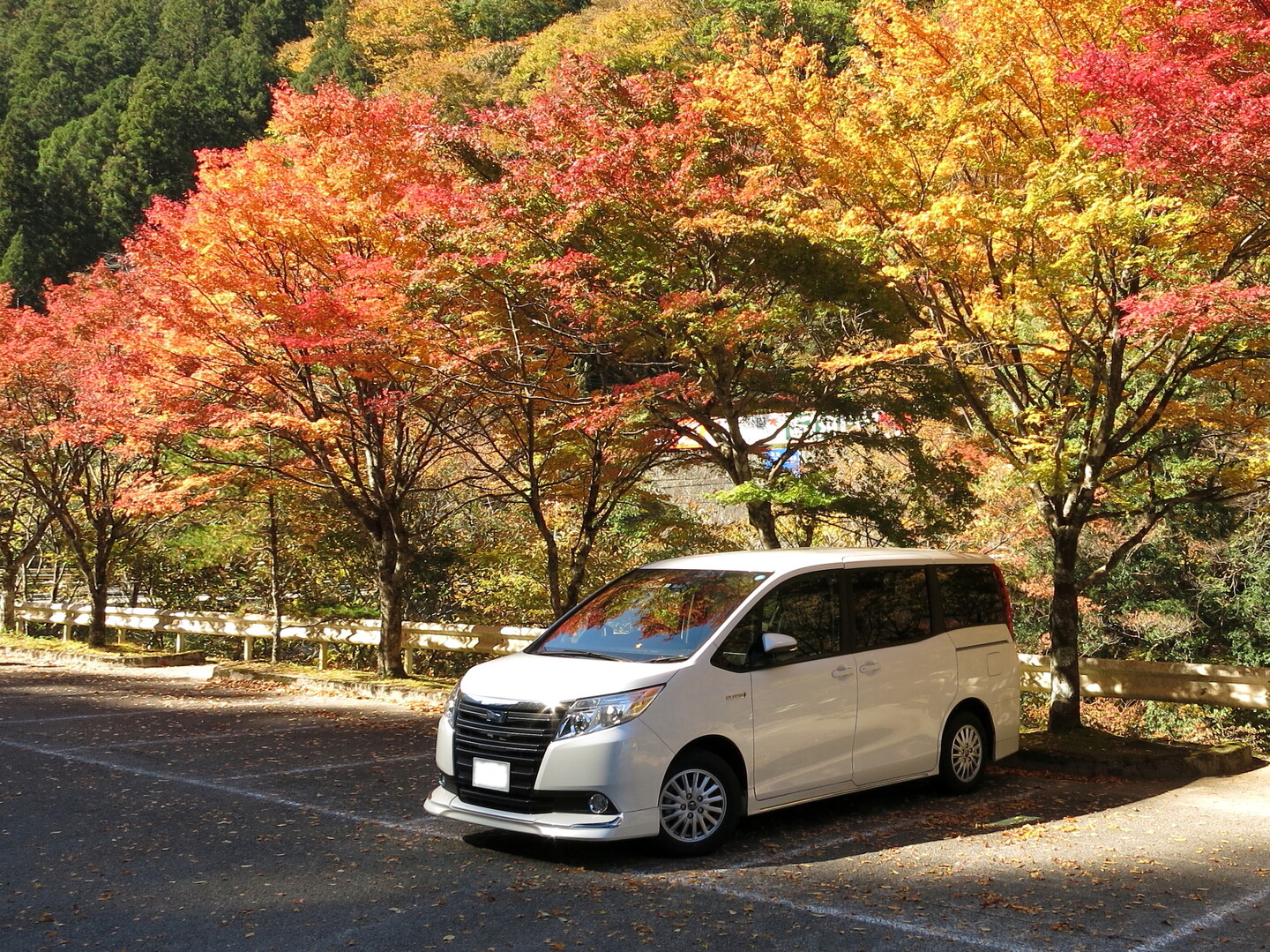 bin0724のページ | YAMAP / ヤマップ