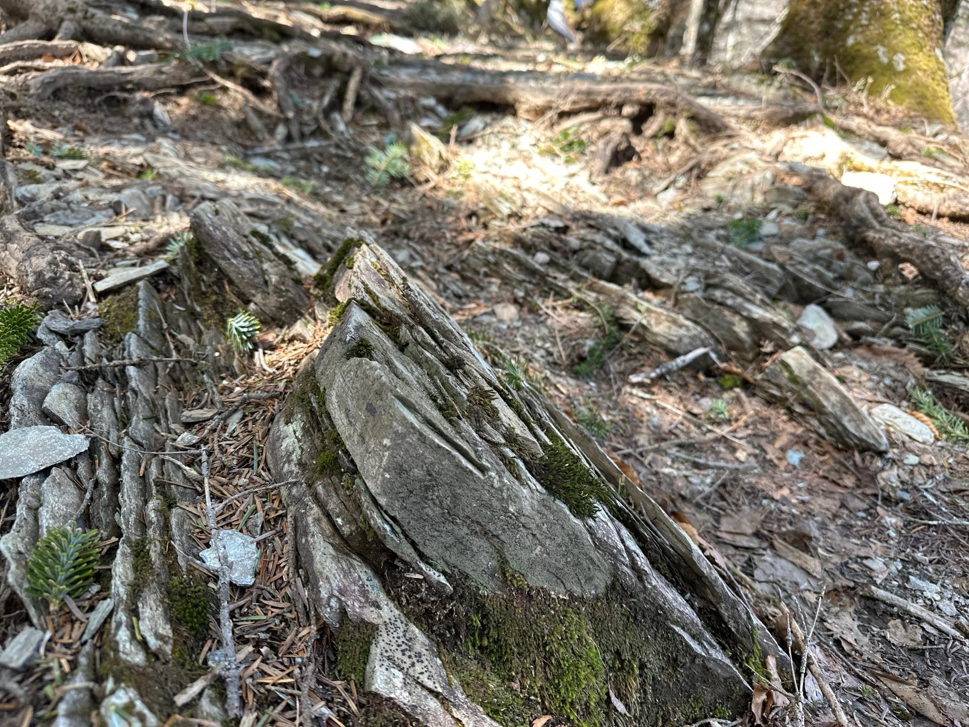 TSUCHIYAさんの投稿したフィールドメモ | YAMAP / ヤマップ