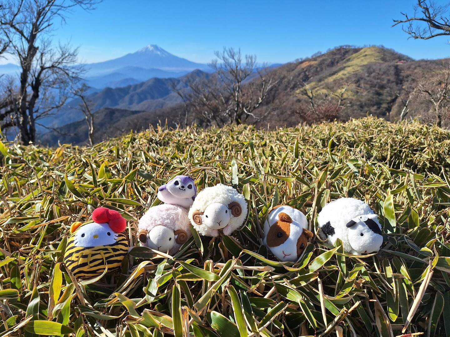 丹沢山&塔ノ岳🗻🍁日本百名山 Dec.9th,'23 / Buchi🌟さんの塔ノ岳・丹沢山・蛭ヶ岳の活動データ | YAMAP / ヤマップ