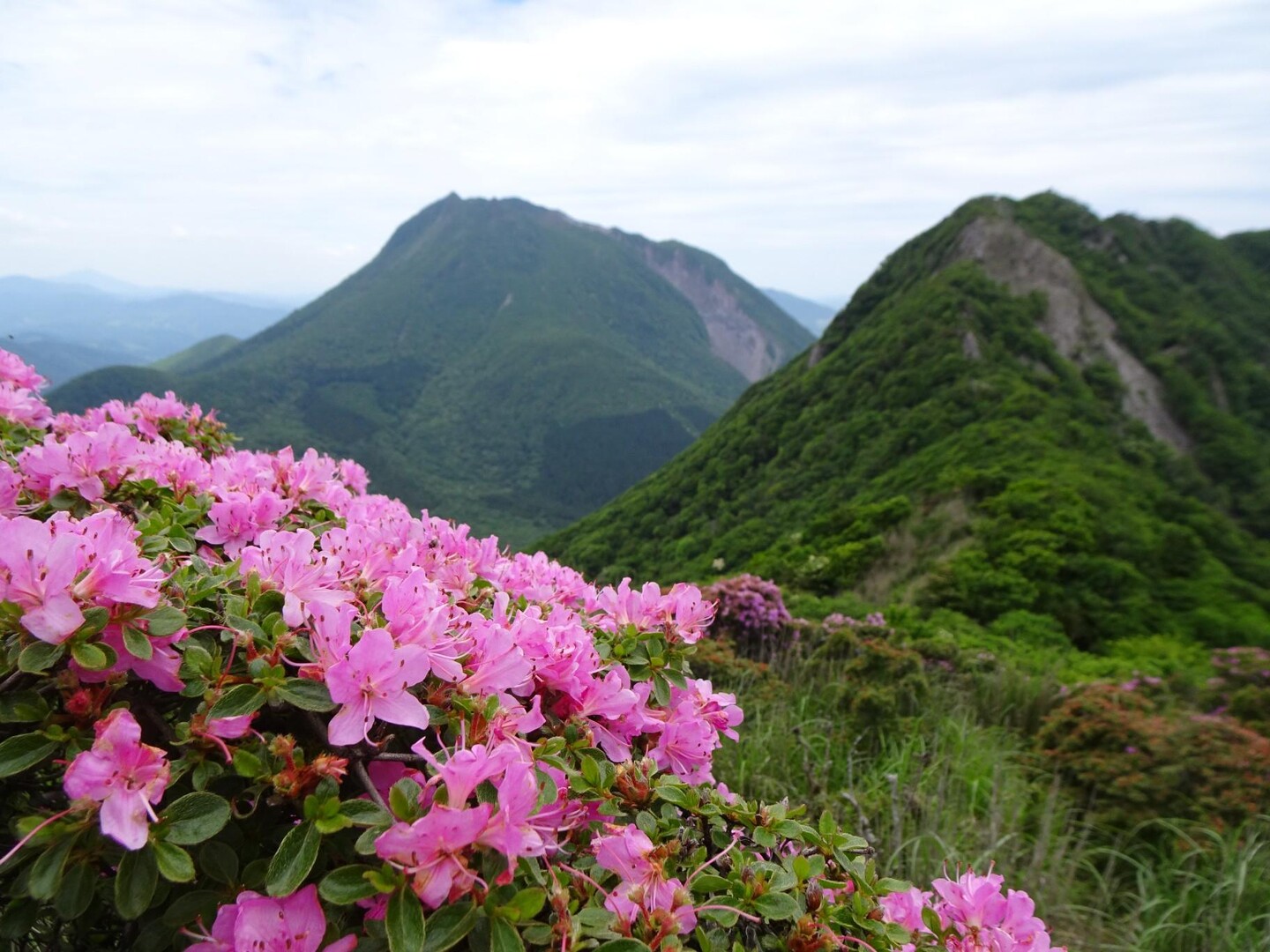 初めての鶴見岳 / COCOさんの由布岳・鶴見岳の活動データ | YAMAP / ヤマップ