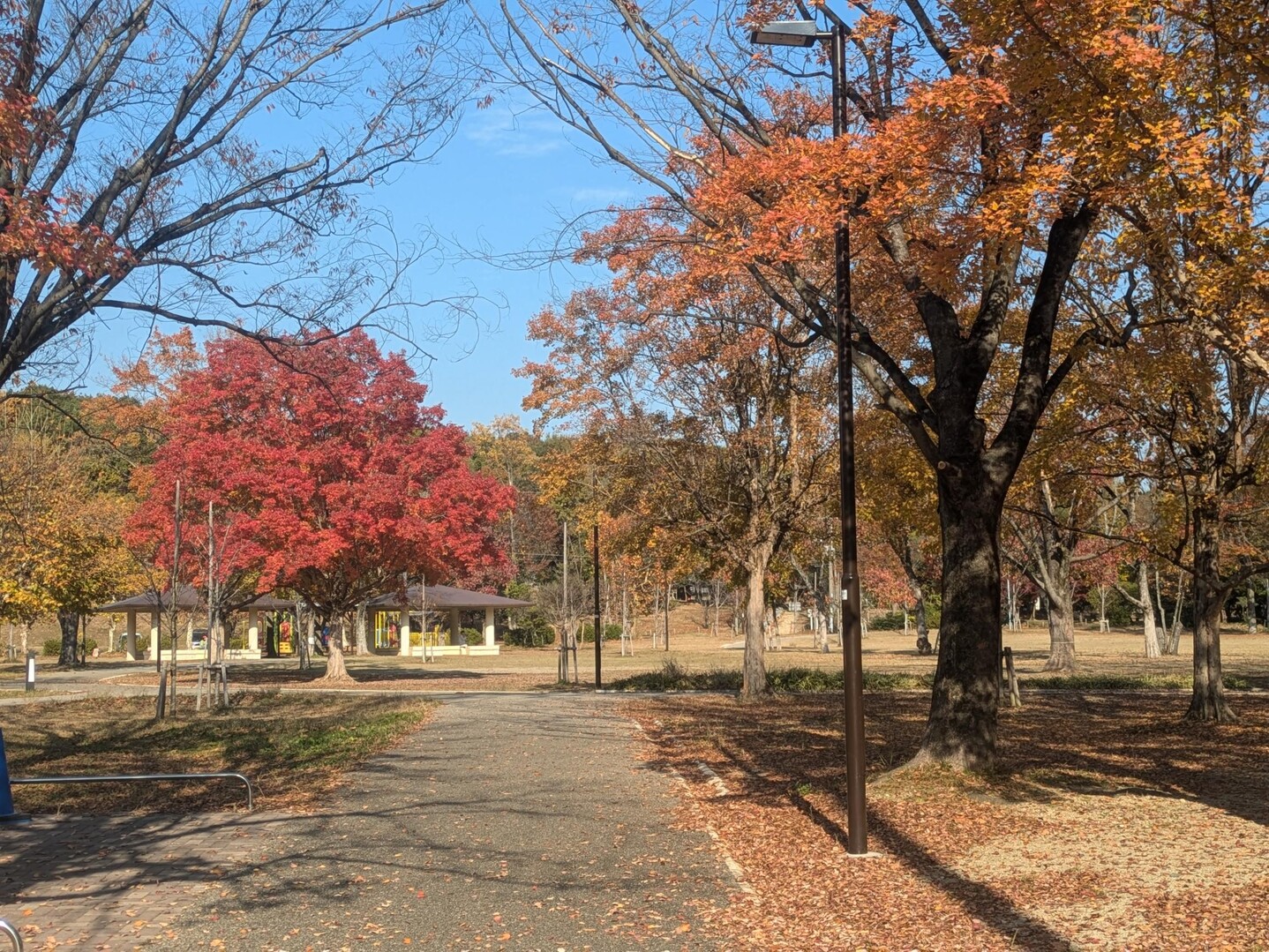 晩秋、月イチ龍泉寺🙏 / hottyさんのランニングの活動データ | YAMAP / ヤマップ