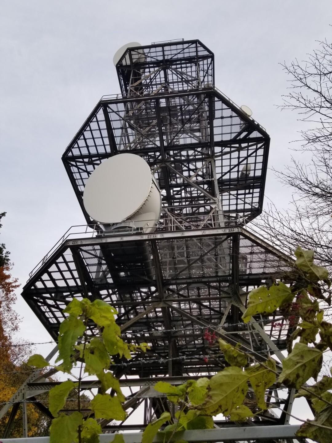 tako2019さんの投稿したフィールドメモ | YAMAP / ヤマップ