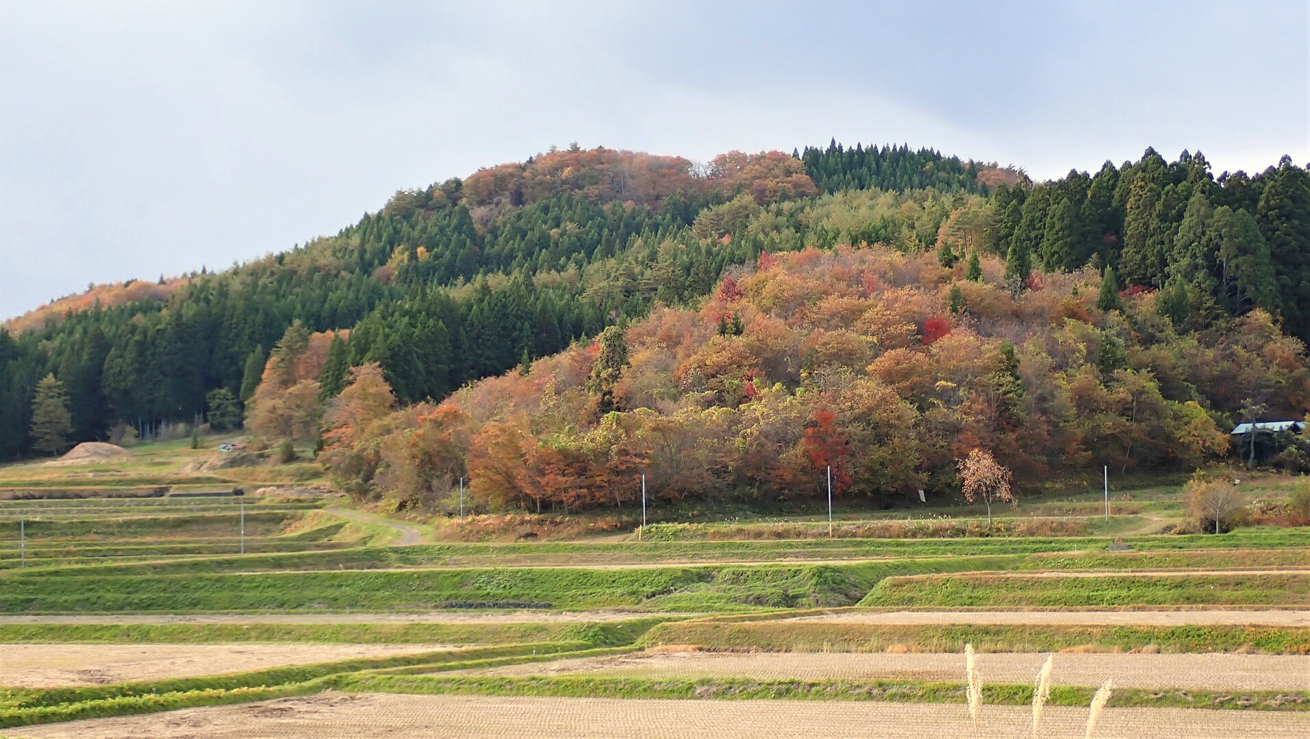 県境の山③/三日月山294m(岩手県・宮城県) / ひでジイさんの一関市・平泉町の活動データ | YAMAP / ヤマップ