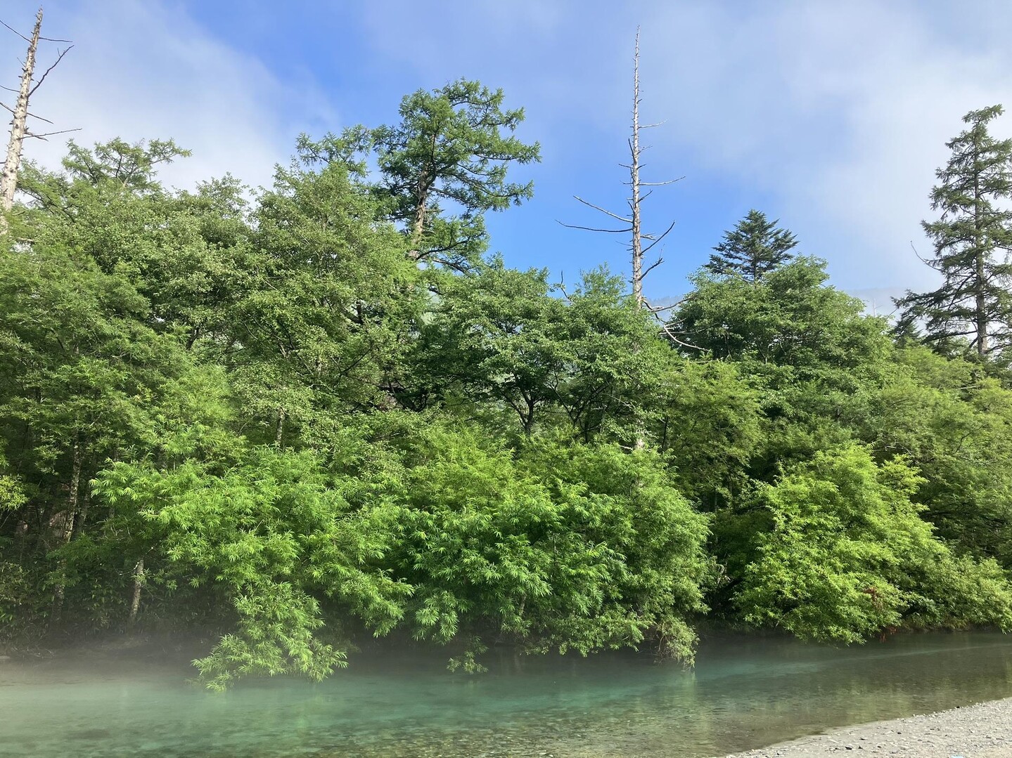 上高地 2023-08-21 / ウォーキングの写真10枚目 | YAMAP / ヤマップ