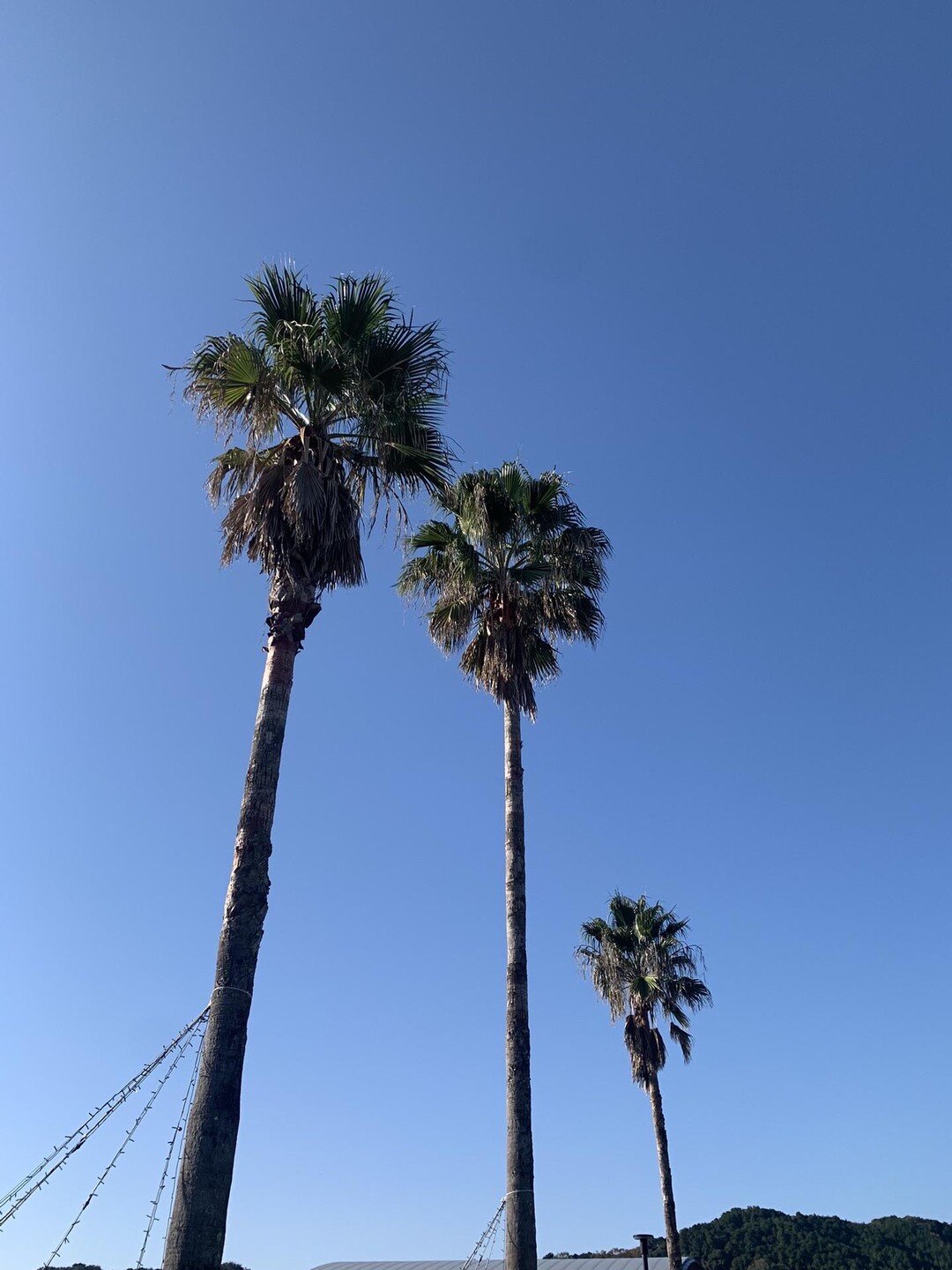 おはようございます☀ / RNさんのモーメント | YAMAP / ヤマップ