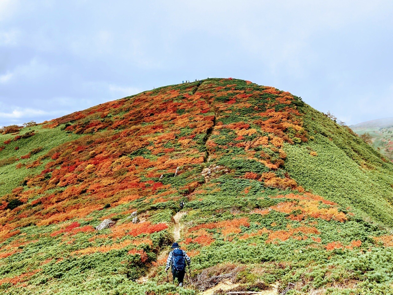 三ッ石山・三ツ石 覘標ノ台・小畚山・大深岳 / chanmikiさんの岩手山・八幡平・安比高原 50km トレイルの活動データ | YAMAP / ヤマップ